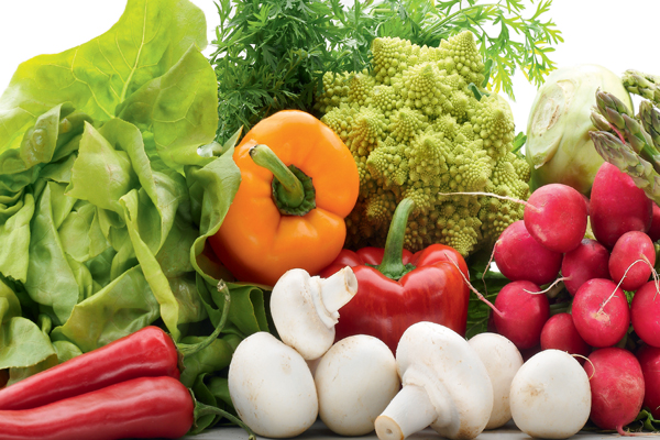 Liebherr BioFresh - Appliance City